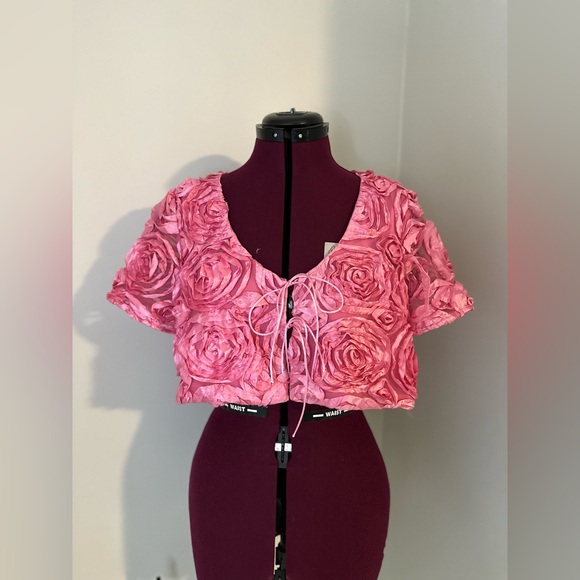Tops | Hutch Cropped Rosette Appliqu Topper | Poshmark